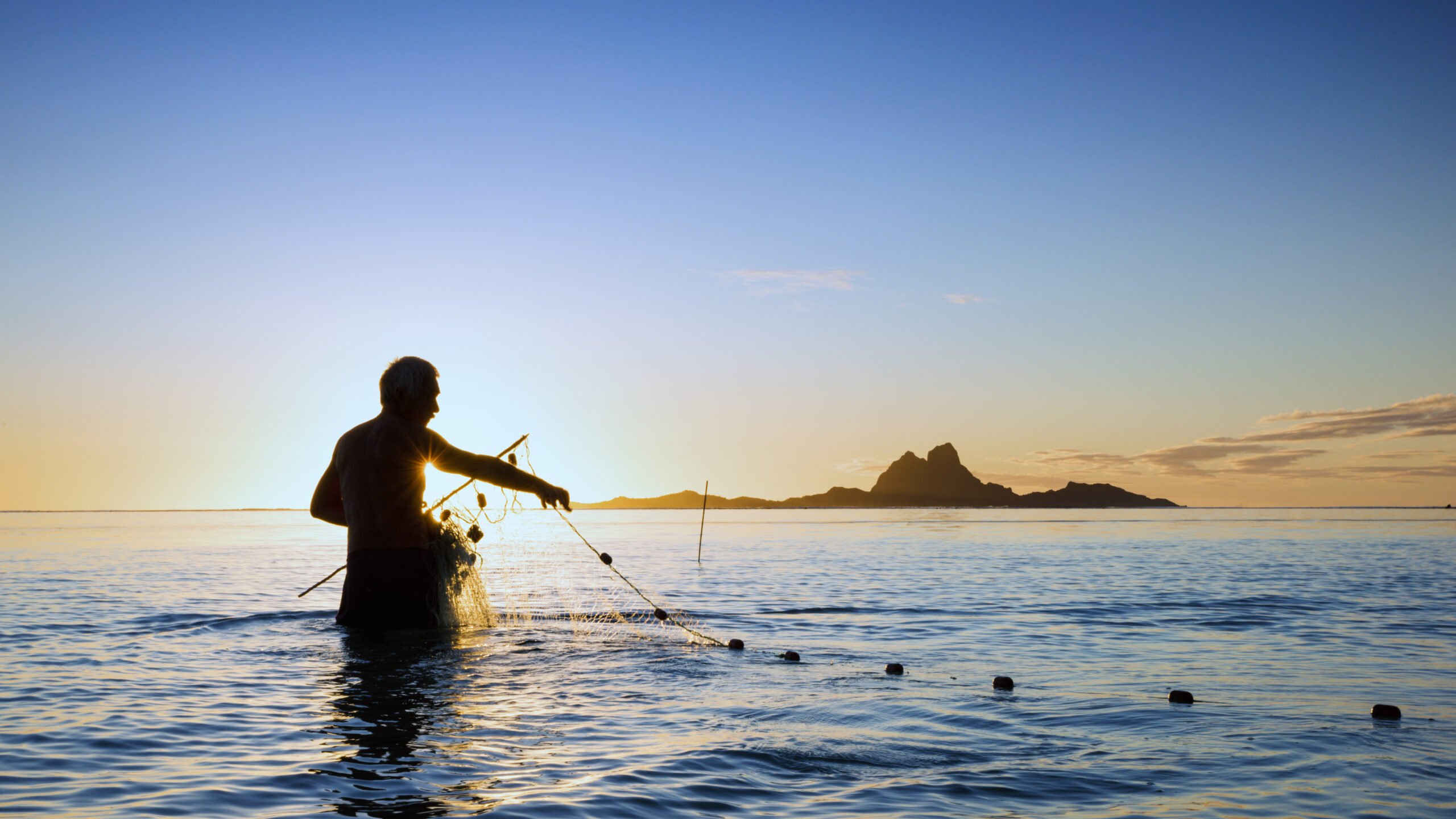The Rhythms of the Pacific: Exploring Traditional Dance and Events in ...